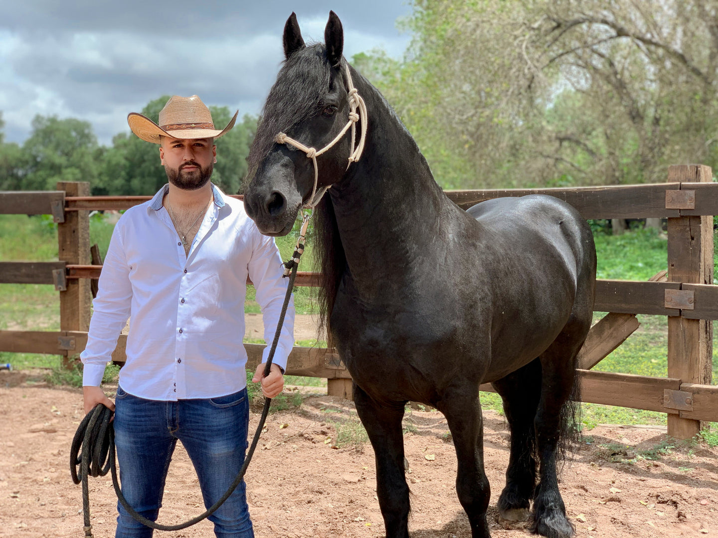 Collections – RITO PRODUCTS